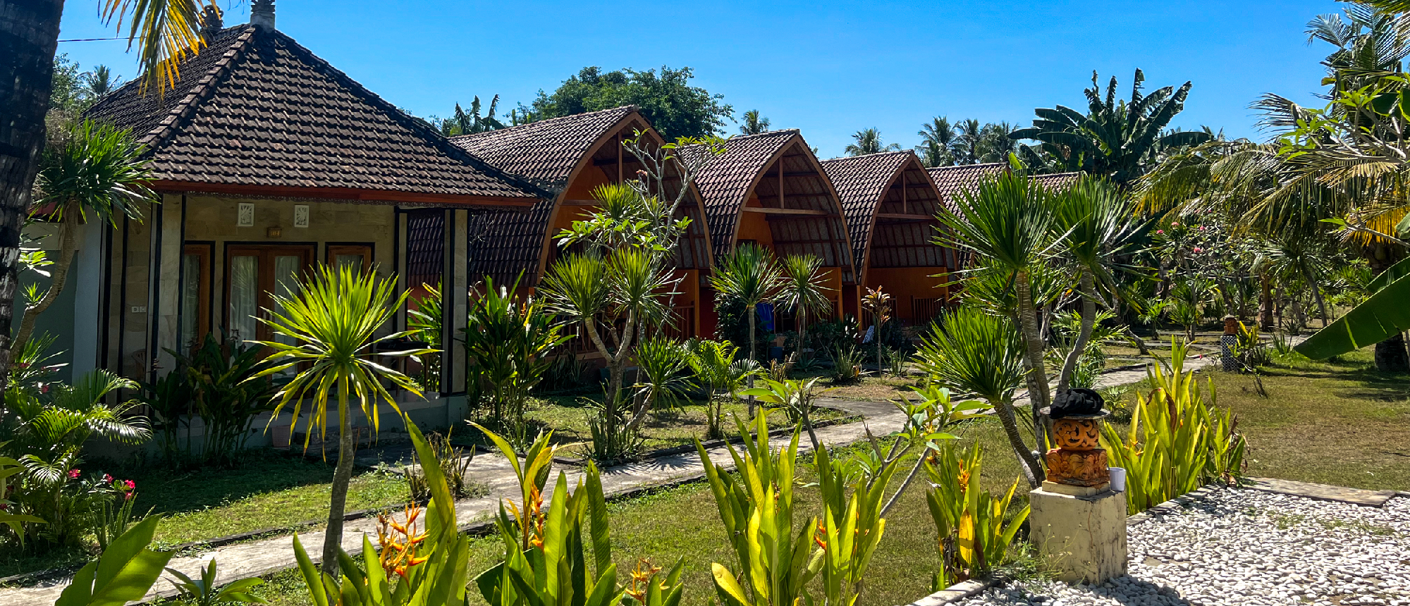 Volunteering Turtle Conservation in Bali | Backpacking Tours